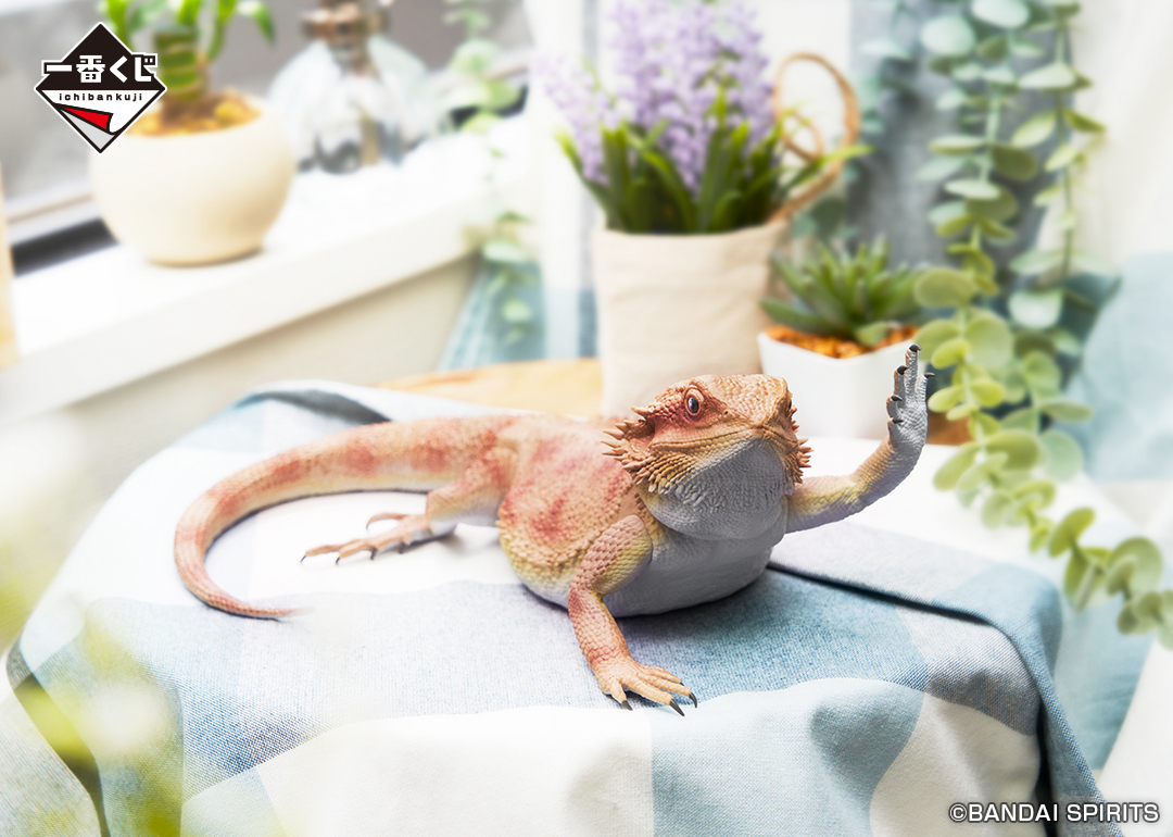 好評再販！一番賞《爬蟲類與兩棲類》~Tiny Friends~超寫實版鬆獅蜥與豹紋守宮模型開抽！ - oneone宇宙